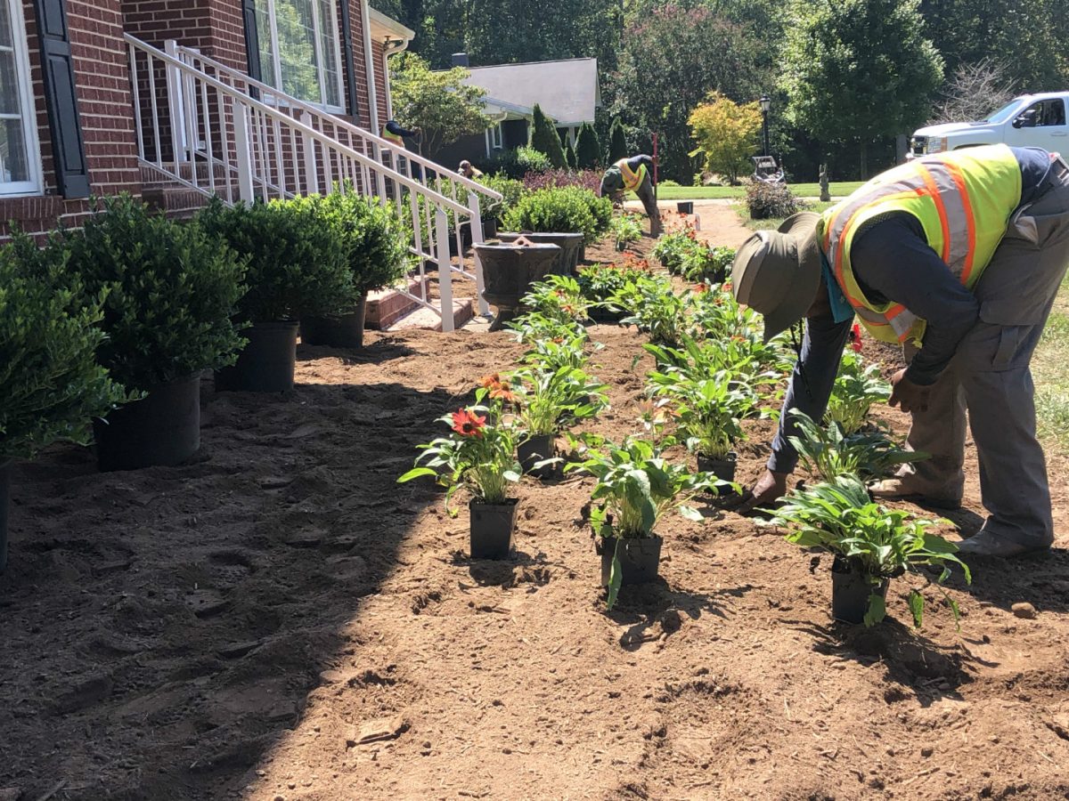 Landscape Design & Installation Services – Paradise Landscaping